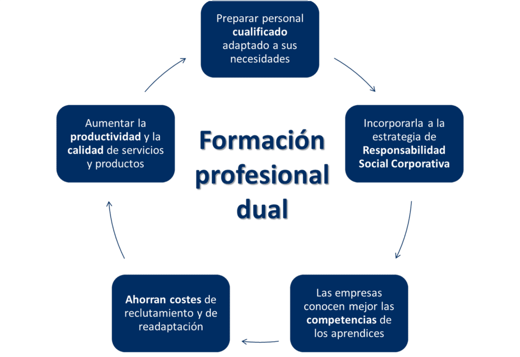 Formacion profesional dual fp